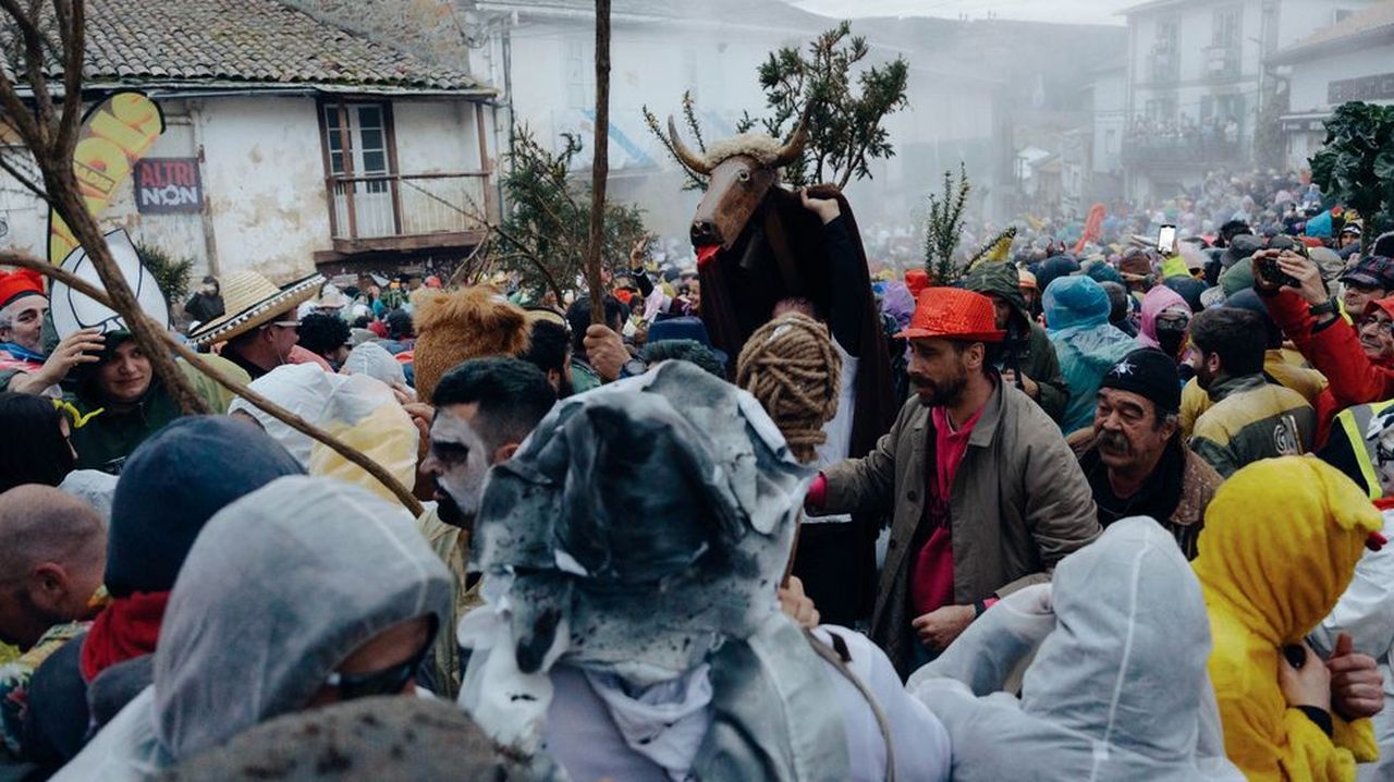 A guerra sucia líbrase en Laza con moita lama, fariña e formigas rabiosas