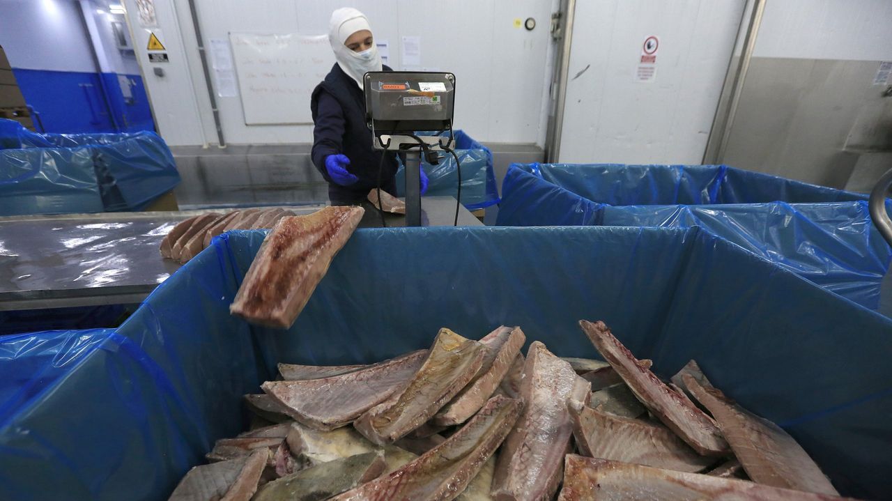 Atunlo mantiene la producción con los suministros de Wofco y Atunsa