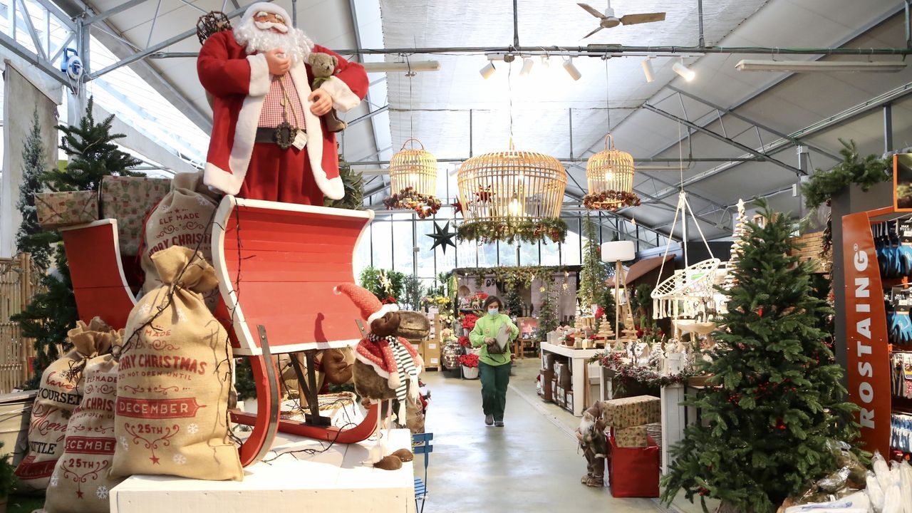 ¿Aún se venden los árboles de Navidad naturales?