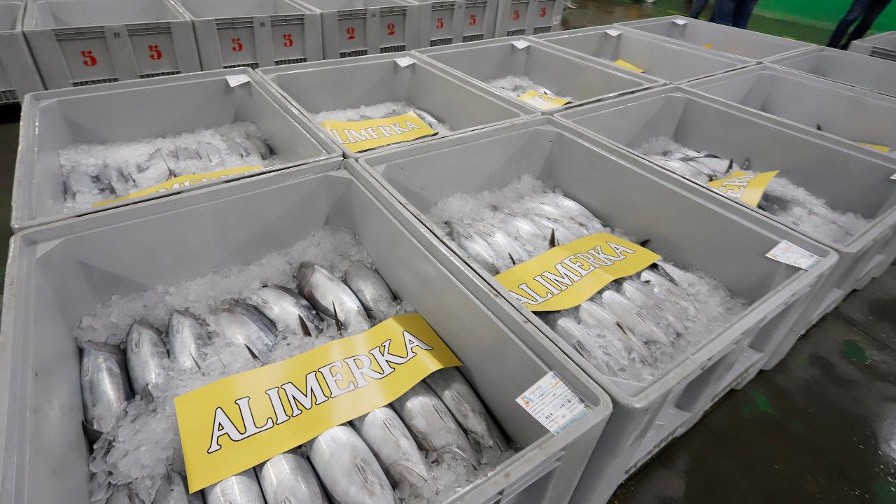 Alimerka: Bonito del norte para deleitar los sentidos
