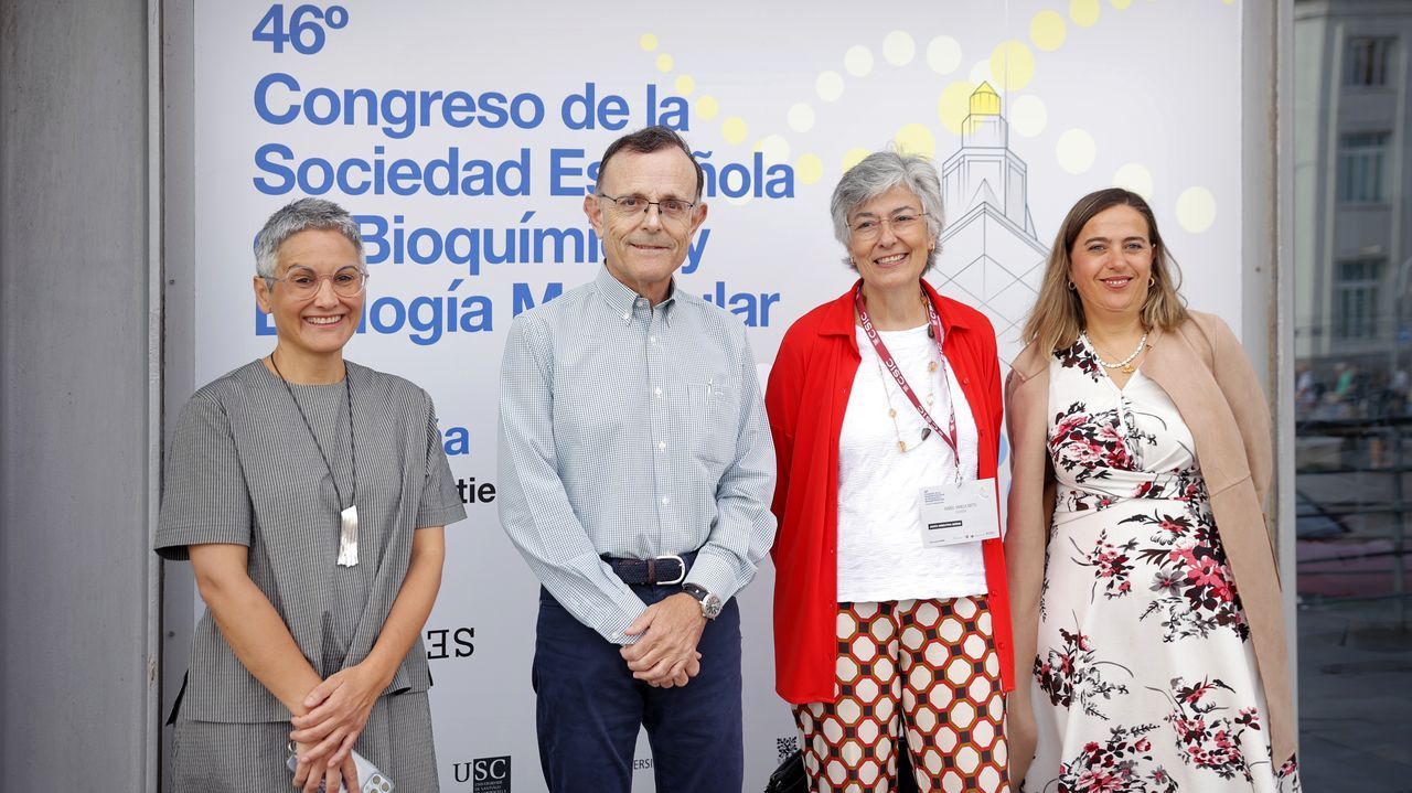 A Coruña se convierte esta semana en la capital de la investigación ...