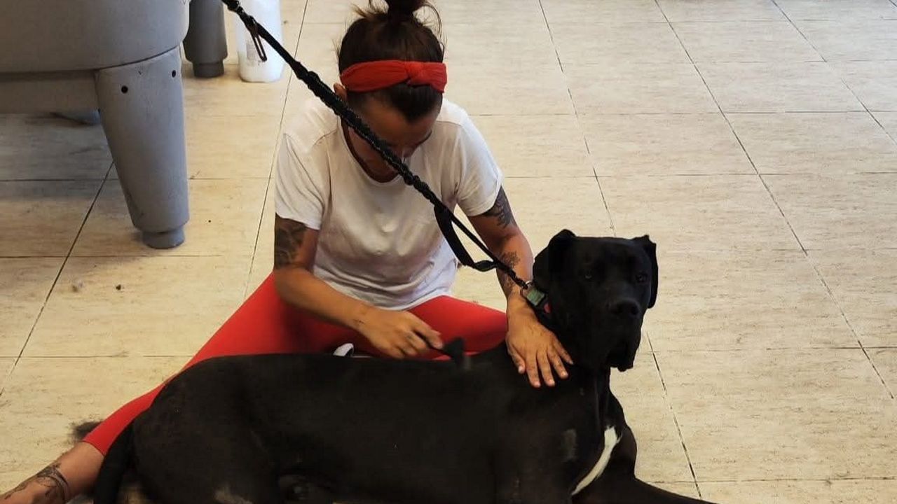 Fátima Soto, peluquera canina con Happy Dog y también en Ok Mascota, en ...