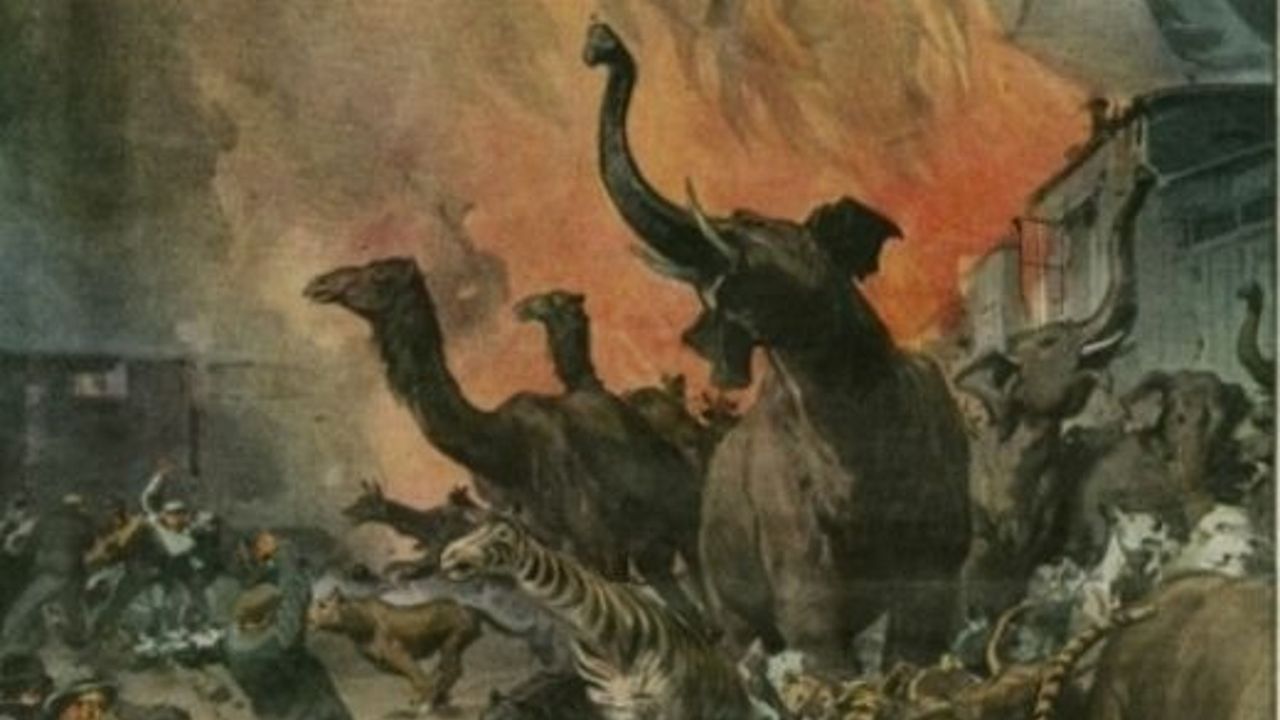 La cabra justiciera Fred y la heroica vaca Emily, relatos de rebelión ...