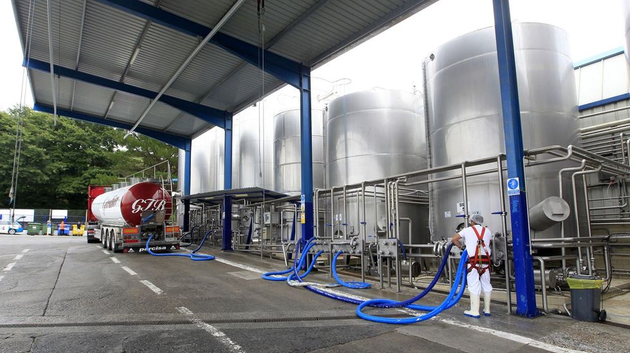 Celega, el giro verde de la octava empresa de la provincia de Lugo