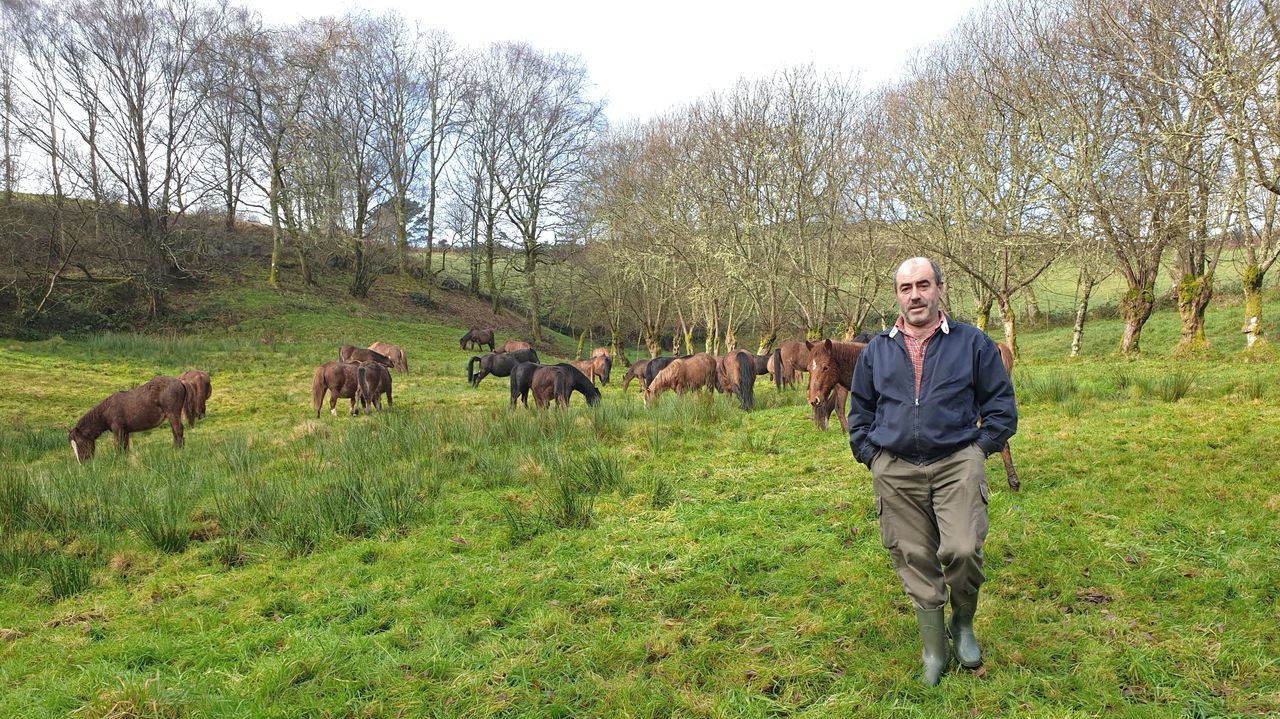 La carne de potro gallego, natural y casi desconocida