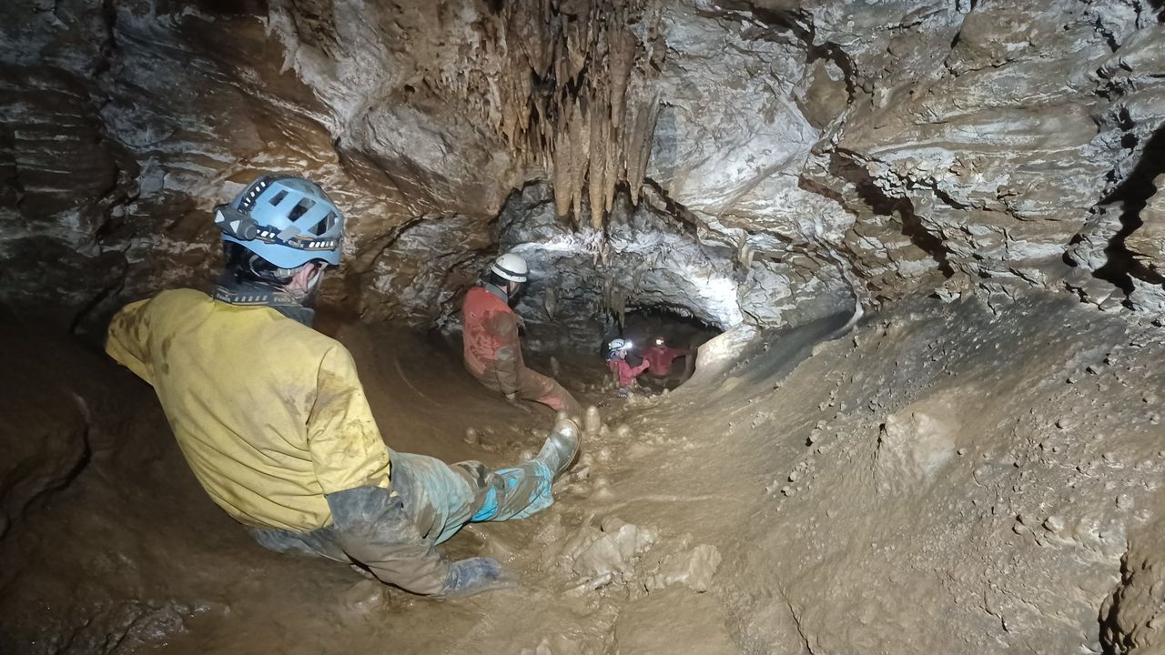 Las visitas a la Cova de Rei Cintolo abren nueva temporada en marzo ...