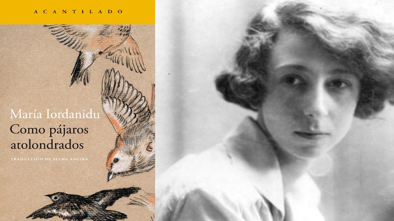 «Como pájaros atolondrados», la serie de la abuela Loxandra tiene nueva ...
