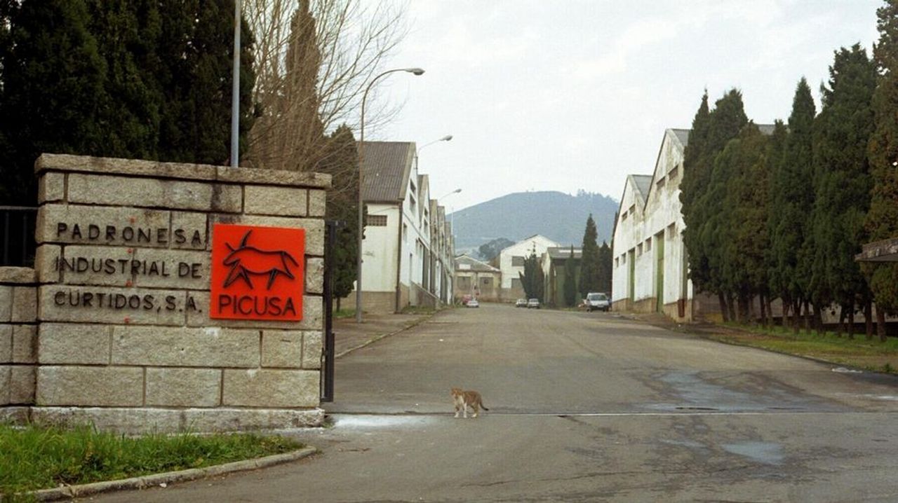 Veinte años desde el último día de alta laboral de la antigua Picusa