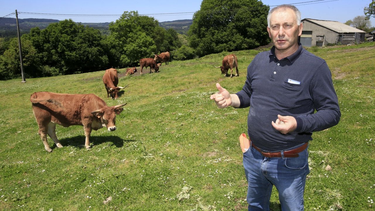 José Regueiro, vecino de Bacurín, en Lugo: «Teño que coller o coche ...