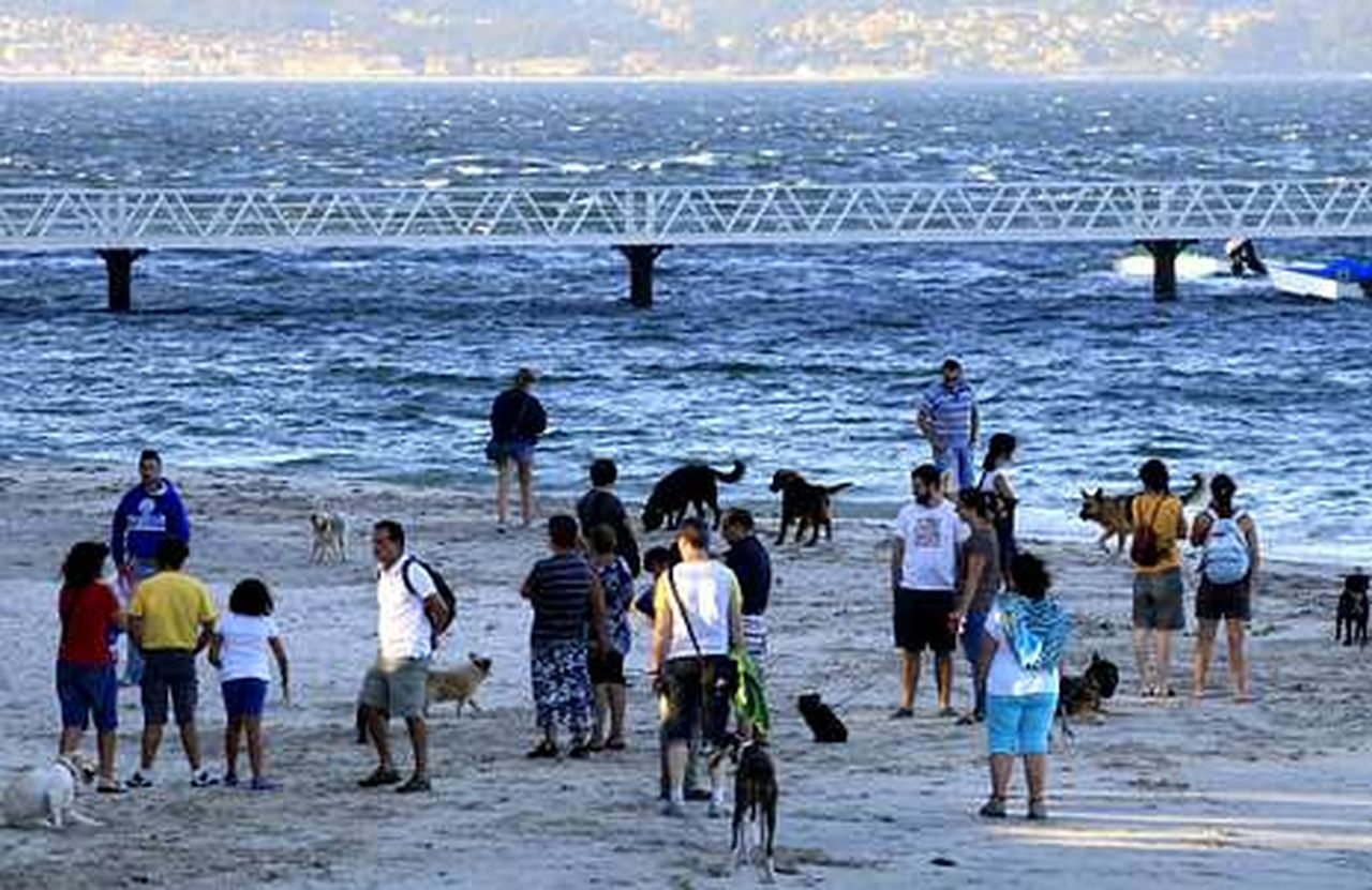 Los perros de Vigo se quedan sin la única playa que disfrutaban