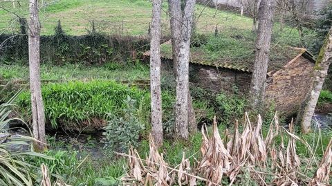 Los molinos de Noaio, en Touro, recuperarán vida y alegría cuando estén ...