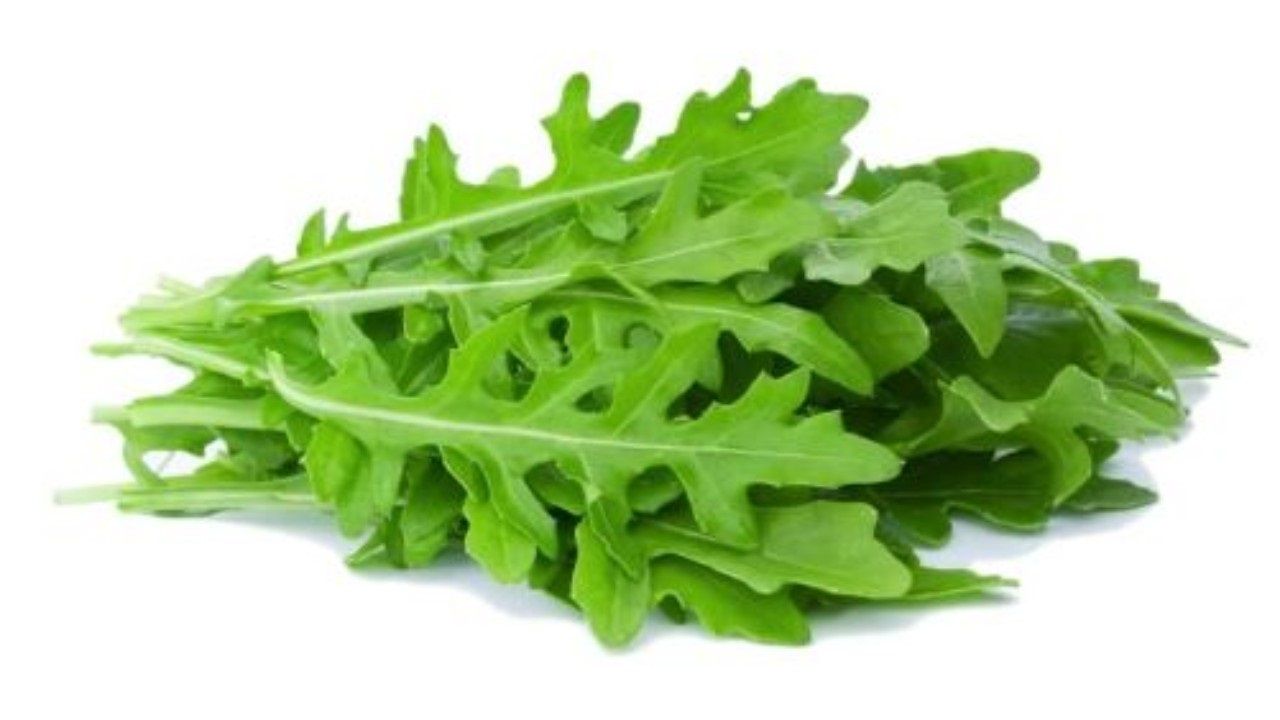 ¿Lechuga, espinacas o rúcula? Por qué es importante acertar con el ...