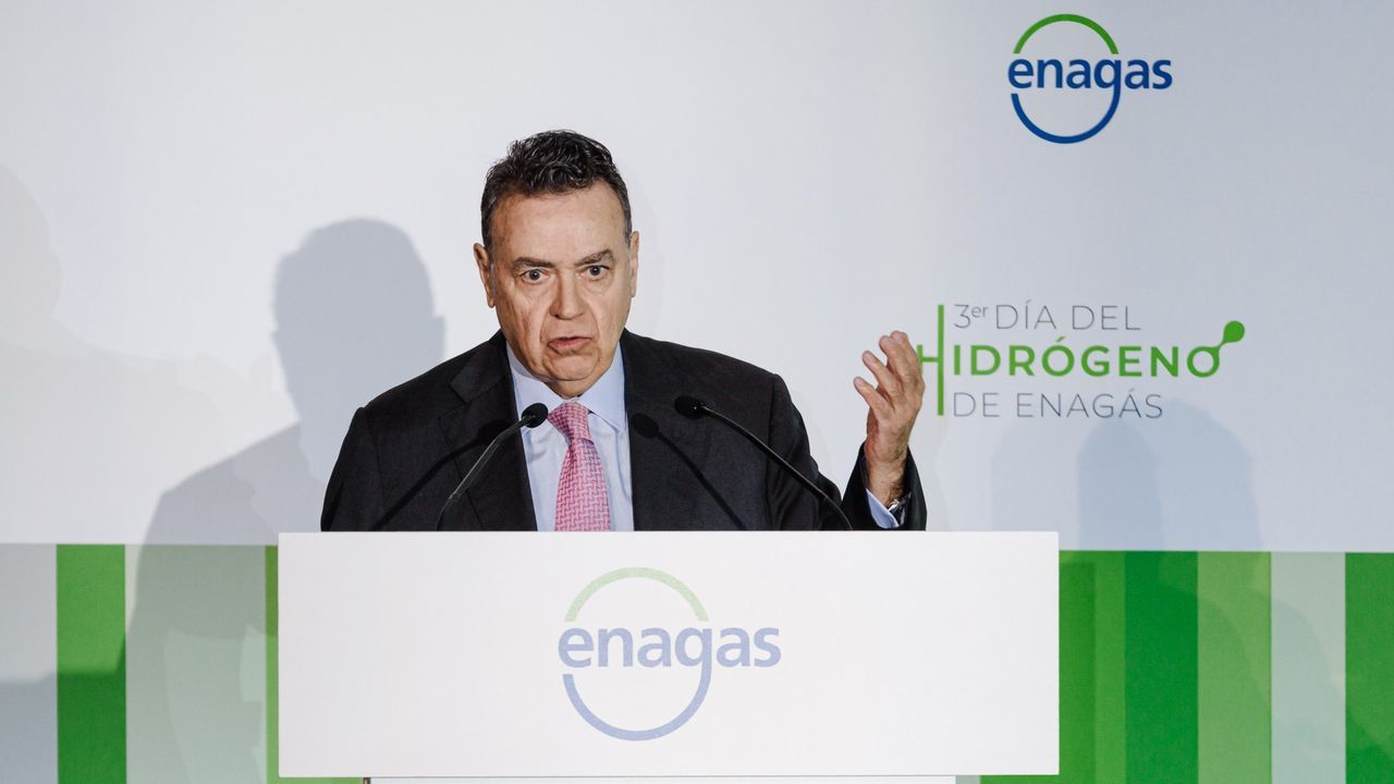 Enagás perdió 299 millones en el 2024 por inversiones fallidas en ...