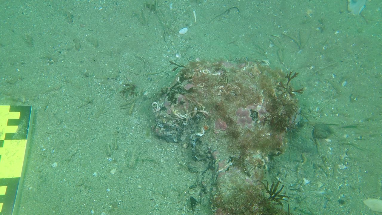 El hallazgo de un ancla del siglo IV certifica la navegación romana por ...