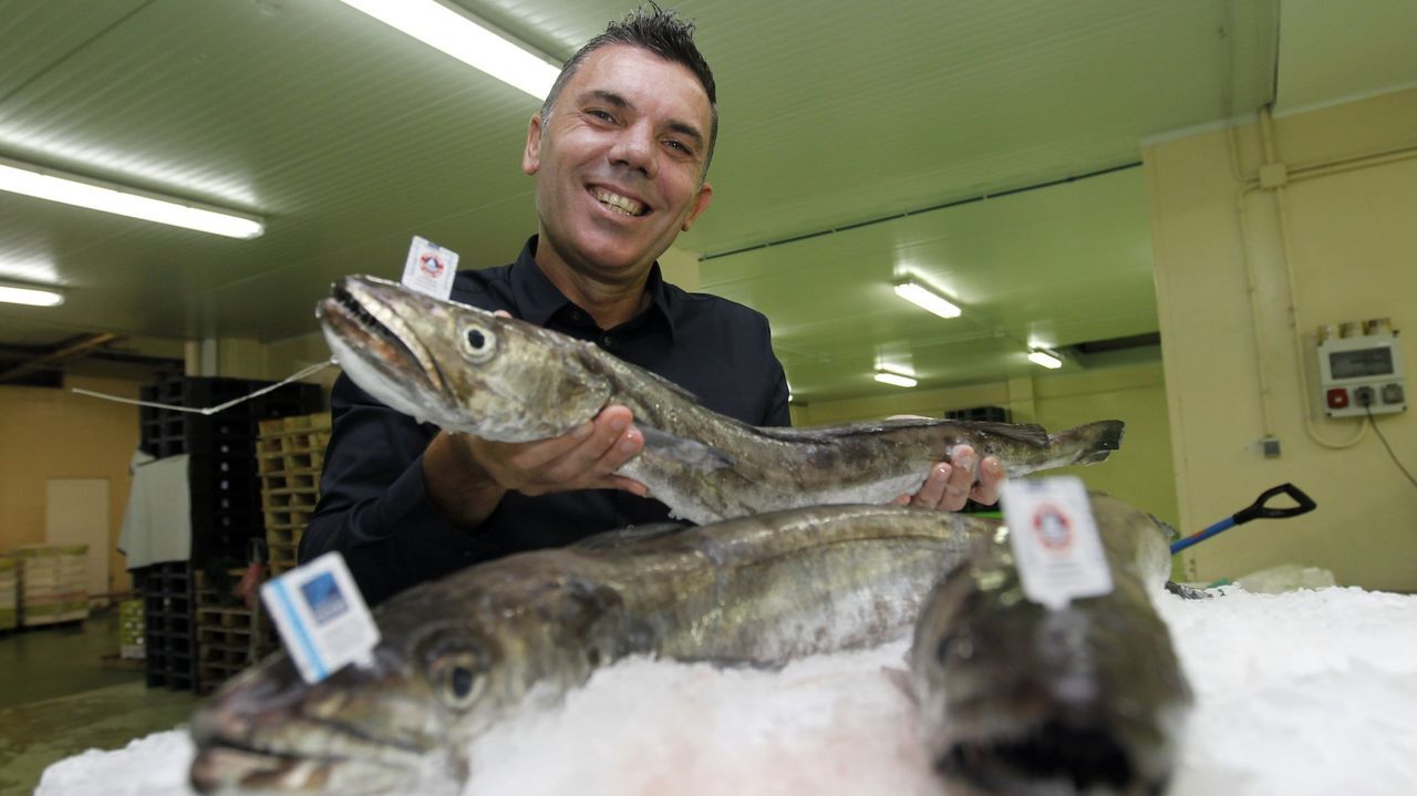Puerto de Celeiro, referente del pescado fresco en España, lanza al ...